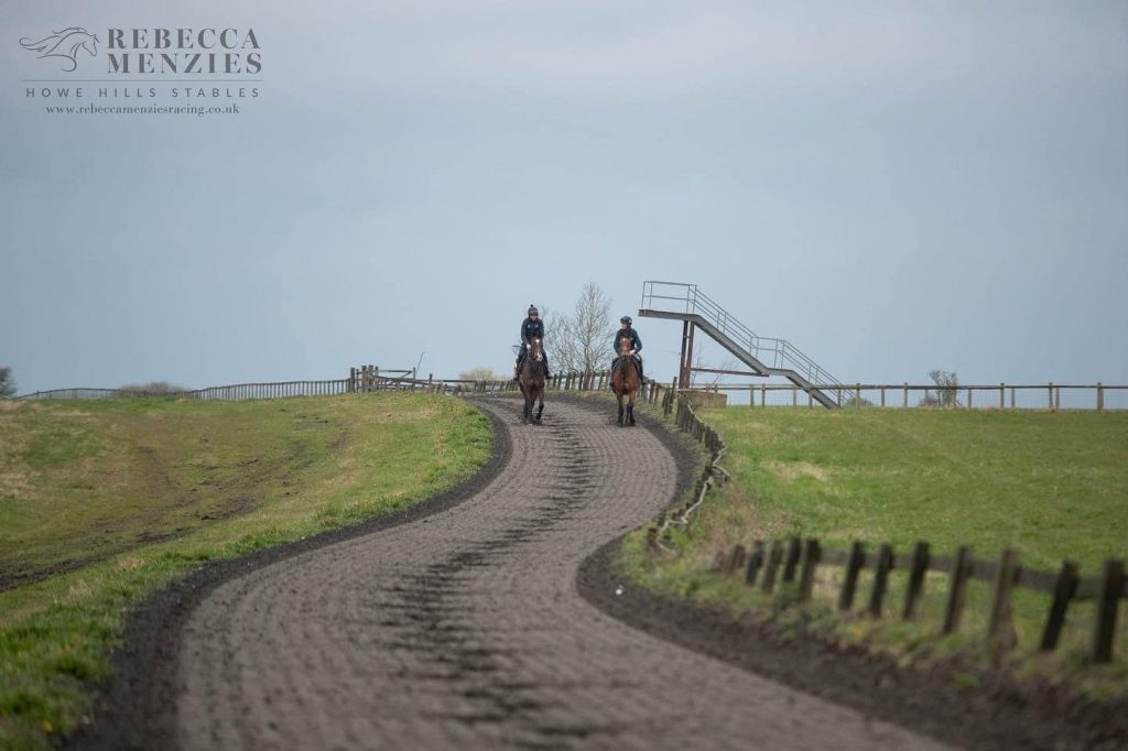Home - Foleys Equestrian