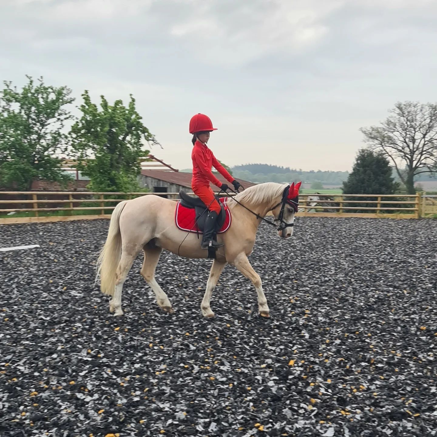 Foleys Equestrian – Durable, high quality riding surfaces for all ...